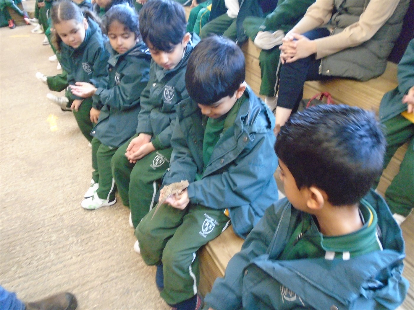 Year 2 Visit Hatton Farm Park